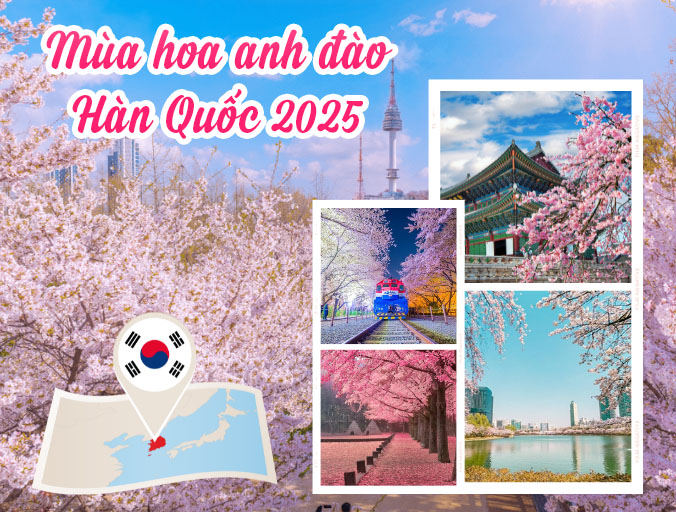 NGẤT NGÂY TRƯỚC VẺ ĐẸP ĐẦY MÊ HOẶC CỦA MÙA HOA ANH ĐÀO HÀN QUỐC 2025 ...